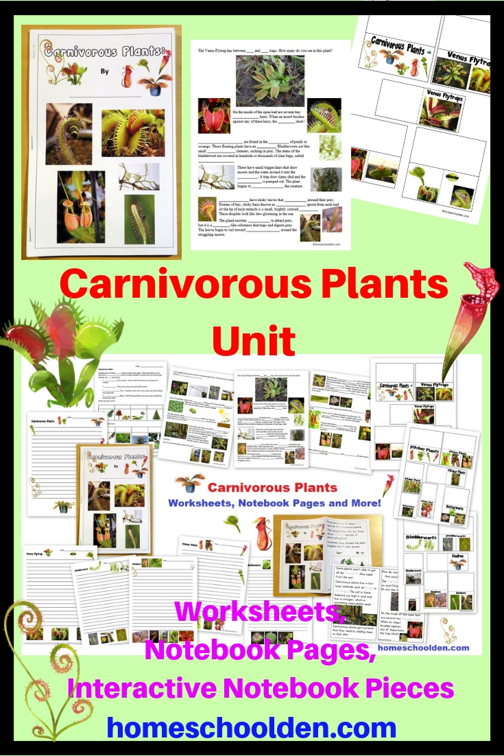 Carnivorous Plants Unit - Homeschool Den