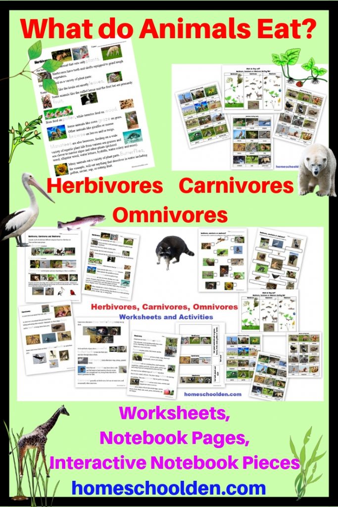 Herbivore, Carnivore and Omnivore Worksheets and Activities ...