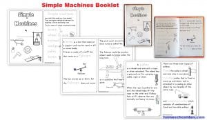 Simple Machines Unit: Hands-On Activities on Levers - Homeschool Den