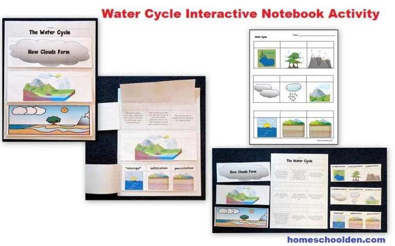 Water Cycle Unit - Worksheets Notebook Pages & Activities! - Homeschool Den
