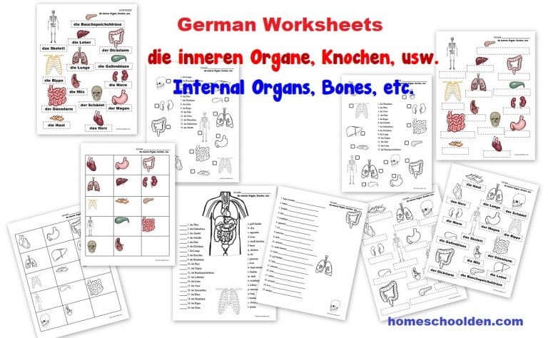 German Worksheets Körperteile Body Parts - Homeschool Den