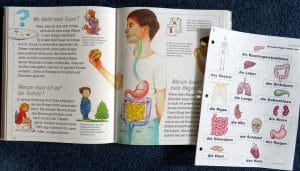 German Worksheets Körperteile Body Parts - Homeschool Den