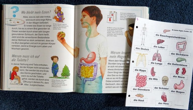 German Worksheets Körperteile Body Parts - Homeschool Den
