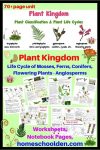 Botany Unit - Plant Kingdom Worksheets and more! - Homeschool Den