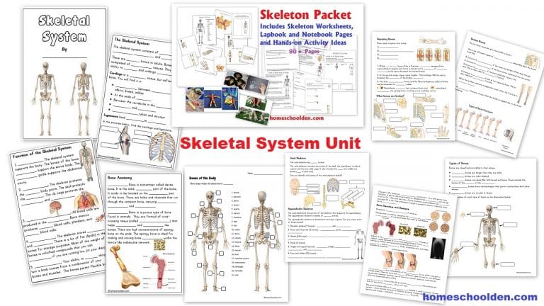 Free Astronomy Worksheets - Middle School - Homeschool Den
