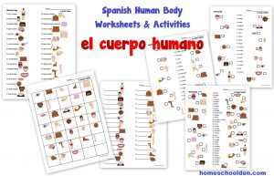 Spanish Human Body Worksheets & Activities - el cuerpo humano ...