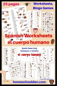 Spanish Human Body Worksheets & Activities - el cuerpo humano ...