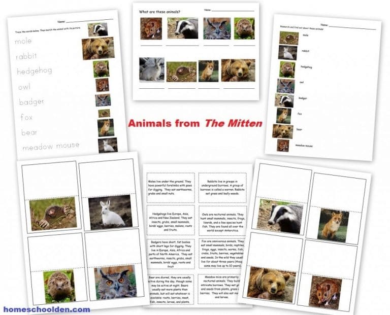 Mitten Activities Packet - Homeschool Den