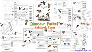 Dinosaur Packet for 3-7 Year Olds - Dinosaur Lapbook, Montessori Cards ...