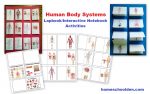 Human Body Worksheets: Cells, Tissues, Organs, and the Human Body ...