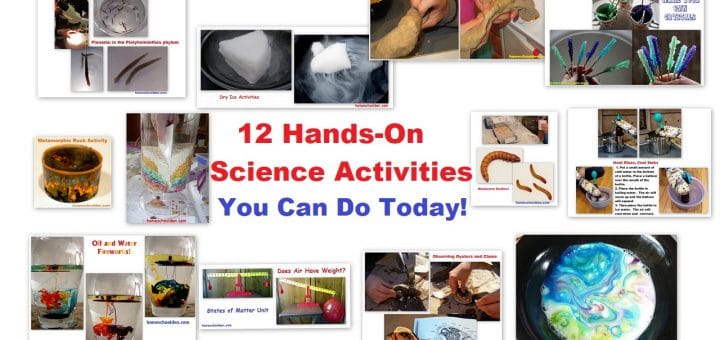 Must Read Archives - Homeschool Den