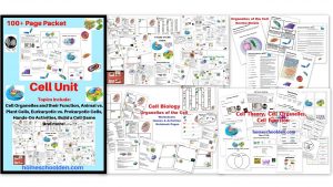 Creating Your Homeschool Curriculum, Grade 6-8 - Free Resource Guide ...