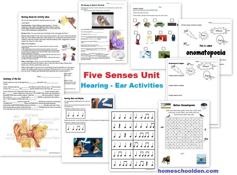 Five Senses Unit - Early Elementary - Homeschool Den