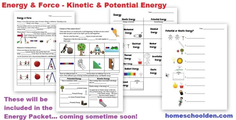 Science Year in Review - 6th Grade - Homeschool Den