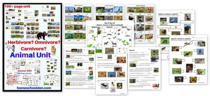 Animal Unit: Vertebrate-Invertebrate Animals Worksheet Packet (100 ...
