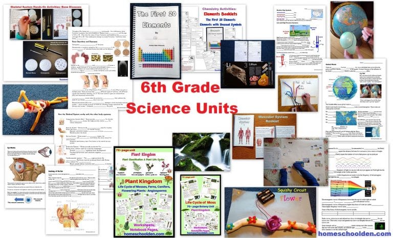 Science Year in Review - 6th Grade - Homeschool Den