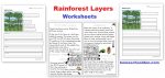 Rainforest Unit: 75+ Page Packet - Homeschool Den