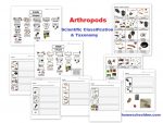 Scientific Classification and Taxonomy Worksheets and Labs - Homeschool Den