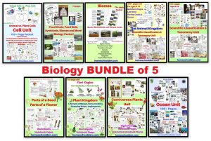 Natural Disasters Worksheets and Hands-On Activity Ideas - Homeschool Den