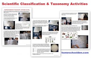 Scientific Classification and Taxonomy Worksheets and Labs - Homeschool Den