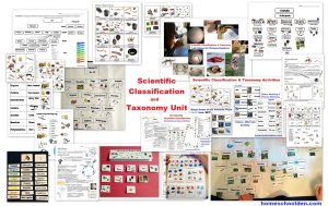 Scientific Classification and Taxonomy Worksheets and Labs - Homeschool Den