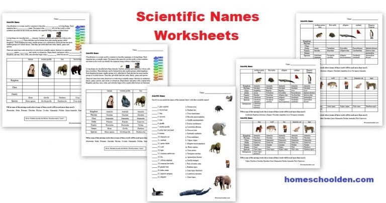 Scientific Classification and Taxonomy Packet - Homeschool Den