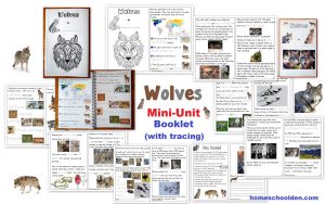 Wolves Mini-Unit - Homeschool Den