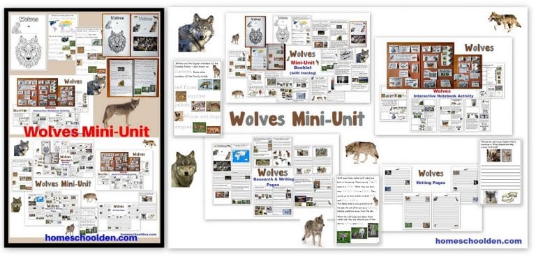 Science Units - Homeschool Den