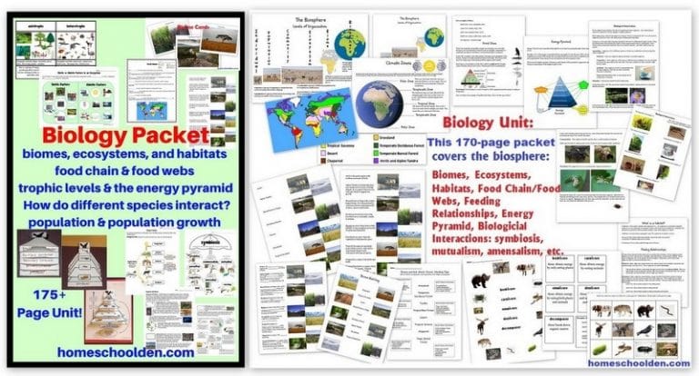 Biology Unit on the Biosphere: biomes, ecosystems, habitats, feeding ...