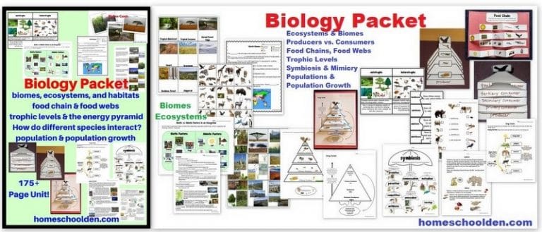 Science Units - Homeschool Den