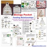 Biology Bundle of 6 - Homeschool Den