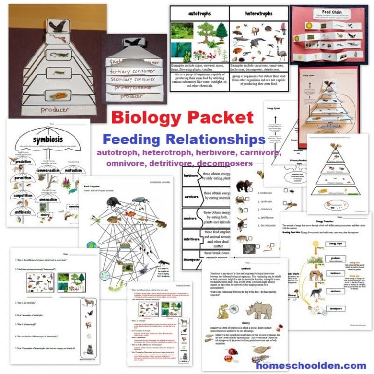 Biology Bundle of 6 - Homeschool Den