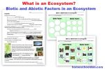 Biology Unit on the Biosphere: biomes, ecosystems, habitats, feeding ...