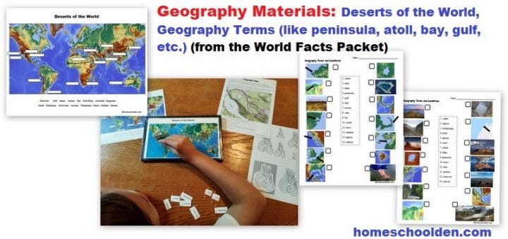 What We've Been Up To in our Homeschool! - Homeschool Den