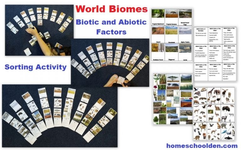 Biology Unit Update! - Homeschool Den