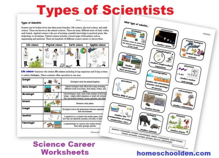 Types of Scientists Worksheets - Homeschool Den