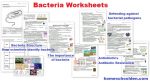 Pathogens Packet - Bacteria Viruses Protozoa Fungi Parasites and Prions ...