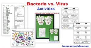 Pathogens Packet - Bacteria Viruses Protozoa Fungi Parasites and Prions ...