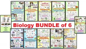 Scientific Classification and Taxonomy Worksheets and Labs - Homeschool Den