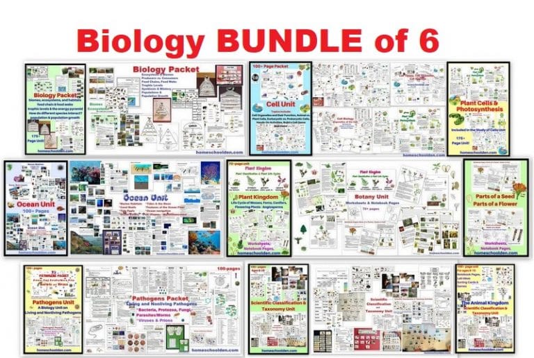 Animal Classification Activity - Homeschool Den