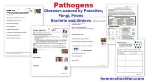 Pathogens Packet - Bacteria Viruses Protozoa Fungi Parasites and Prions ...