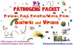 Pathogens Packet - Bacteria Viruses Protozoa Fungi Parasites and Prions ...