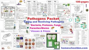 Pathogens Packet - Bacteria Viruses Protozoa Fungi Parasites and Prions ...