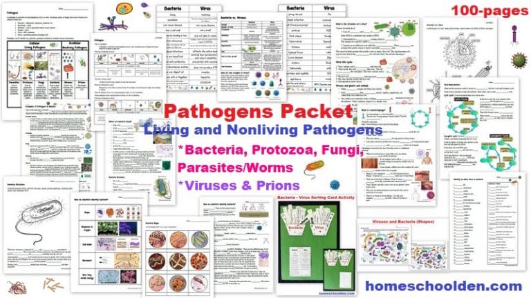 Pathogens Packet - Bacteria Viruses Protozoa Fungi Parasites and Prions ...