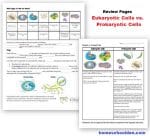 Pathogens Packet - Bacteria Viruses Protozoa Fungi Parasites and Prions ...