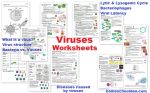 Pathogens Packet - Bacteria Viruses Protozoa Fungi Parasites and Prions ...