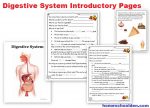 Hands On Activity: How Long is the Digestive Tract? - Homeschool Den