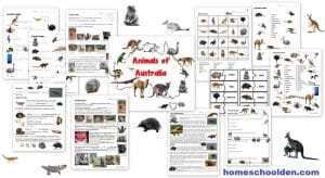 Animals and Their Characteristics (Free Worksheet) - Homeschool Den