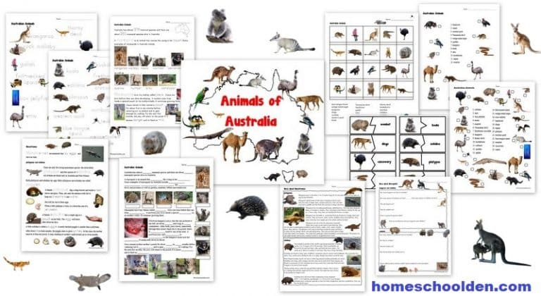 Animals and Their Characteristics (Free Worksheet) - Homeschool Den