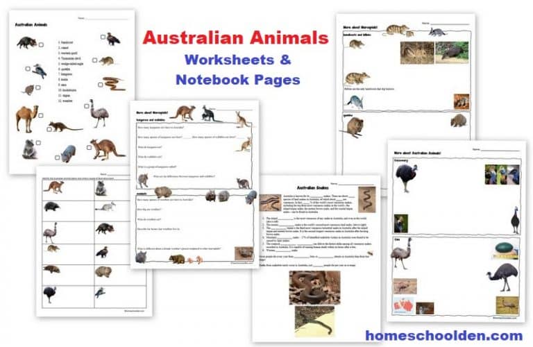 Australia Packet - Homeschool Den